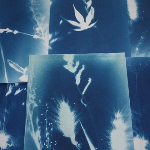Printing with Light :: The Horsebridge